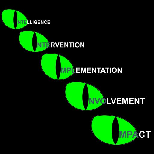 5Is – who is it for and how can they use it? – CRIME FRAMEWORKS