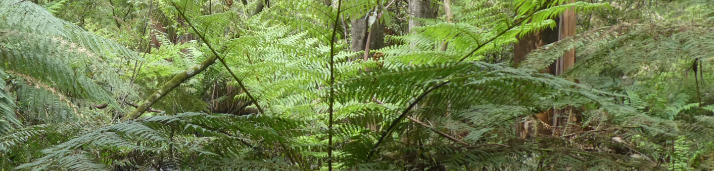 Crime scripts and script clashes – CRIME FRAMEWORKS