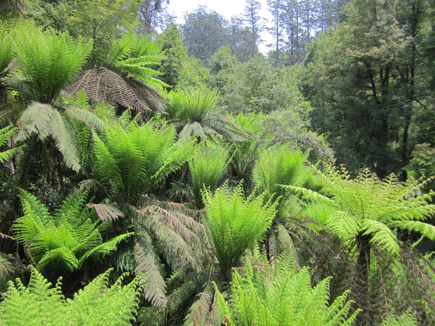 Crime Frameworks list – CRIME FRAMEWORKS