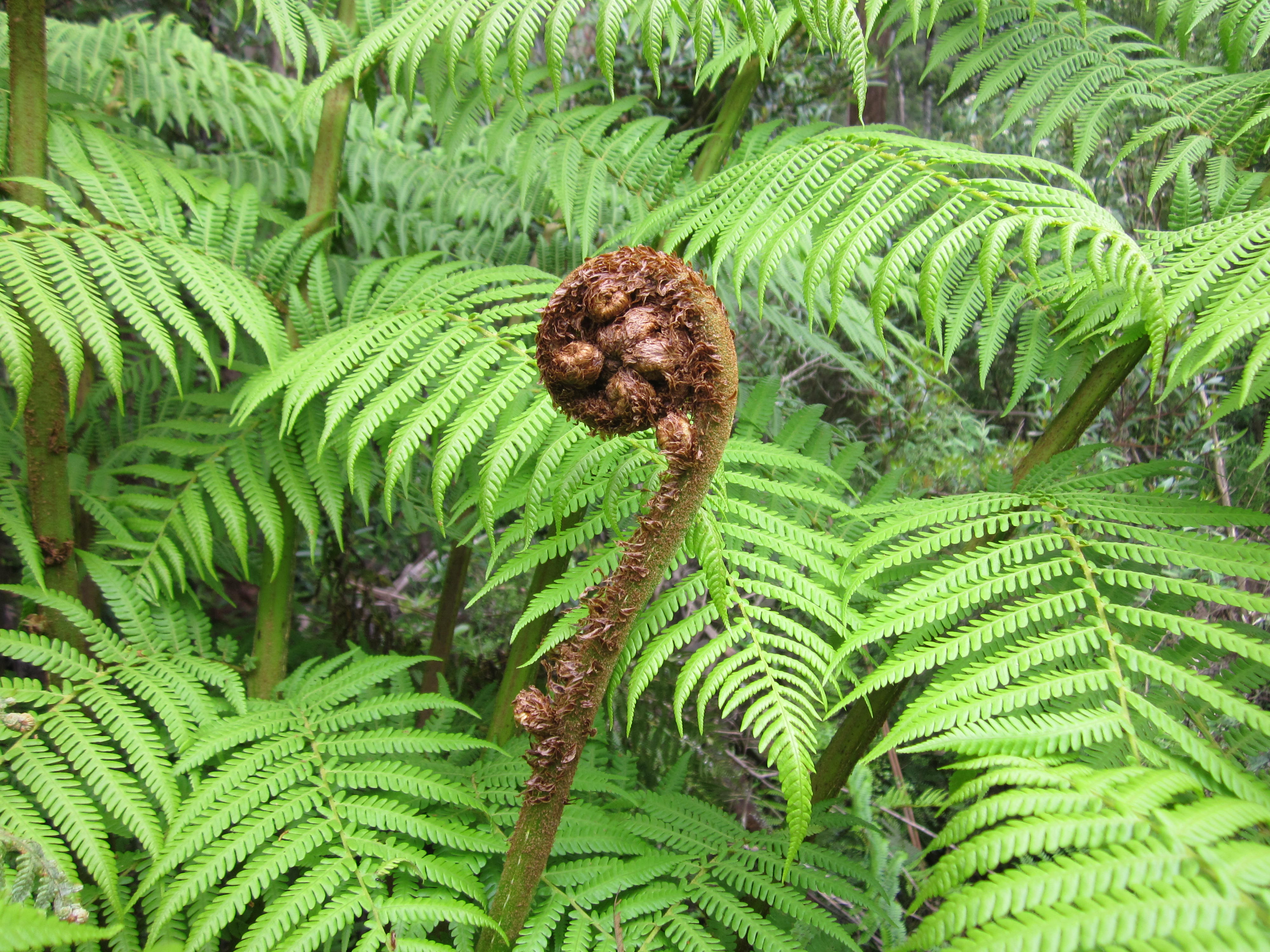 A critical perspective: why Crime Science needs better frameworks ...